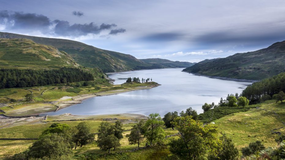 Five Places to See Red Squirrels in The Lake District