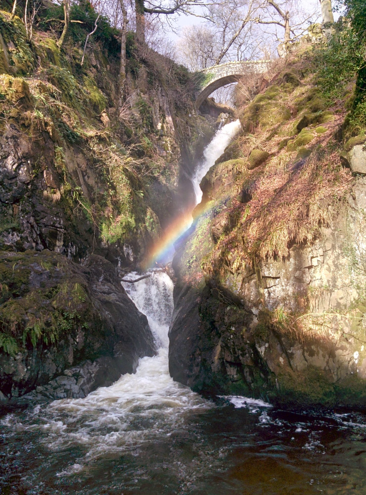 Nine Lake District Waterfalls to visit during your Lakeland Retreat