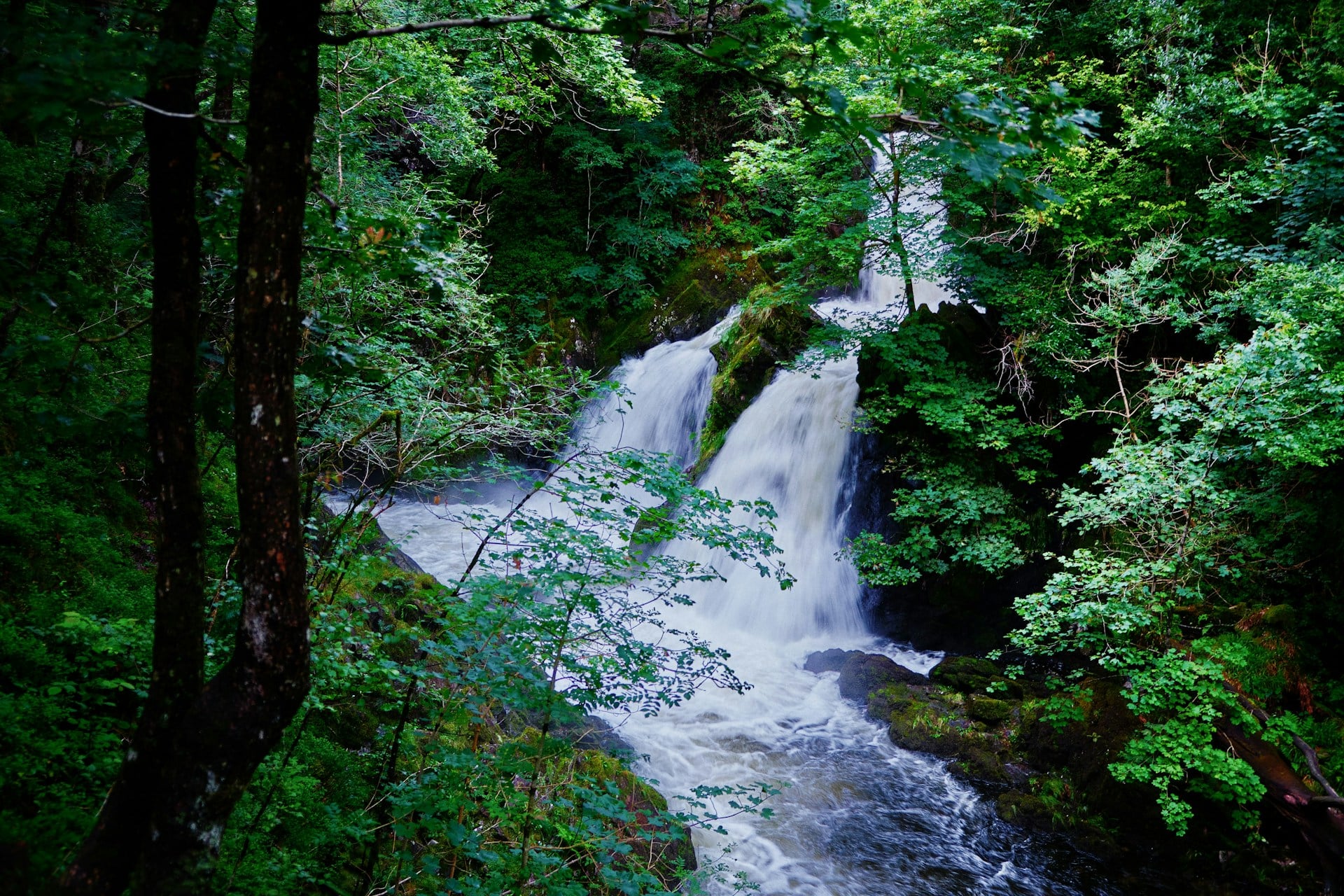 12 lake district waterfall walks
